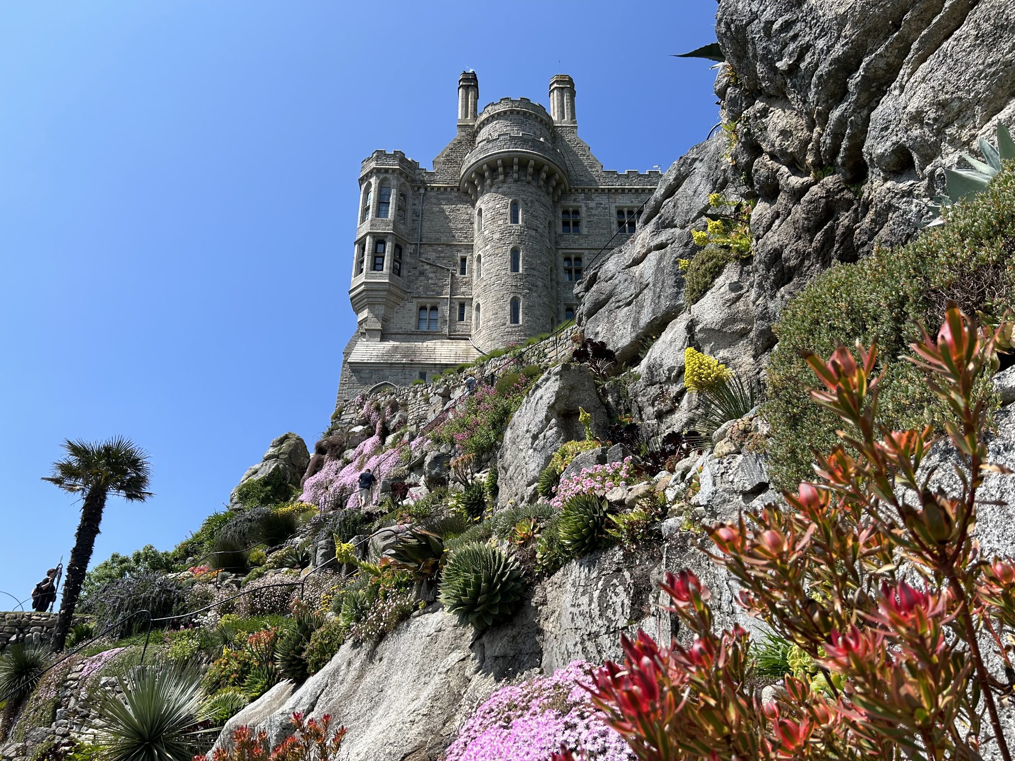 St Michael’s Mount garden opening raises £4,800 for National Garden ...